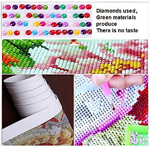 BLOOMMAY Diamond Painting Kits for Adults – 5D DIY Round Diamond Number Kits with Full Drill – Crystal Rhinestone Diamond Embroidery Paintings for Home, Office, Wall Decor 16×12 Inch