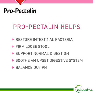 Vetoquinol Pro-Pectalin Oral Paste for Dogs & Cats – Chicken Flavor – Helps Reduce Occasional Loose Stool & Diarrhea, Balance Gut pH, Support Normal Digestion & Intestinal Flora