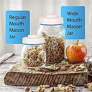 WANCHIY 1 Set Accessory for Mason Jars, Jar Sealer for Food Storage, Fit with Mason Jars and Reusable Vacuum Sealer Bags and Canning Jars, Compatible with FoodSaver Vacuum Sealer, Portable Can Sealer(Jar Sealer)