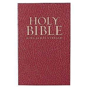 KJV Holy Bible, Gift and Award Bible - Softcover, King James Version, Burgundy (KJV Gift Award Editions)