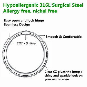 BLESSMYLOVE Clear CZ Silver 20G 8mm Nose Rings Hoop 316L Surgical Steel 20 gauge Cartilage Earrings Conch Daith Helix Rook Tragus Lobe Snug Body Piercing Jewelry Stainless Hinged Segment Lip