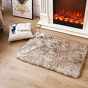 Bedroom Area Rug, Washable Faux Fur Fluffy Shag Rugs, 2x3' Modern Non Slip Shaggy Small Rug for Home Decor Living Room, Kids Room Bedside Square Soft Plush Carpets,Milk Brown