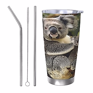 AYCZN Koala On Branch 20 OZ Tumbler Stainless Steel Travel Coffee Mug, Cute Animal Insulated Water Bottle with Lid and Straws Leakproof Thermal Cup
