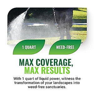Albaugh Sublime Weed Killer, Unrivaled Defense Against Crabgrass, Creeping Charlie, Dandelions & More, Non-Bleaching, Fast-Acting, Commercial & Residential, 1 Quart