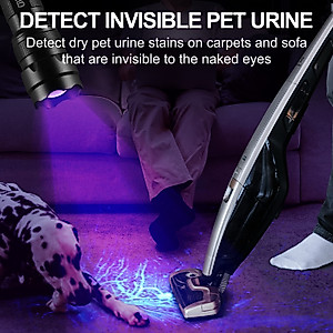 ULTRAFIRE UV Flashlight 395-405 nm Led Blacklight for Curing UV Glue, Leak Detector, Pet Urine Stain