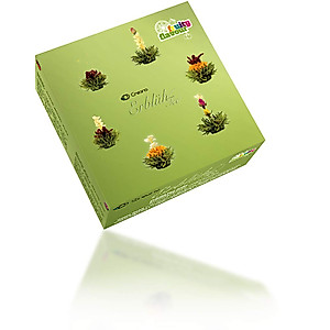 Creano Blooming Tea Gift Set with Glass Teapot 17oz (500ml) - Green Tea Fruity Flavoured Tea Flowers in 6 Varieties - Flowering Tea Gift for Easter