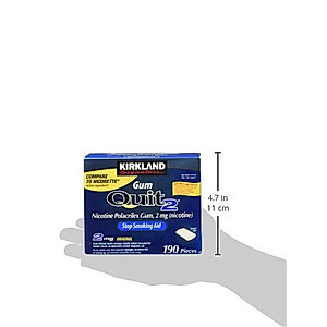 Kirkland Signature Quit Smoking Gum, 2 mg, 380 Count