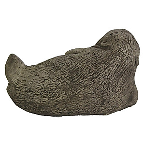 Sea Lion Garden Statue Sea Animal Concrete Sculpture Cement Otter Figure Cast Stone