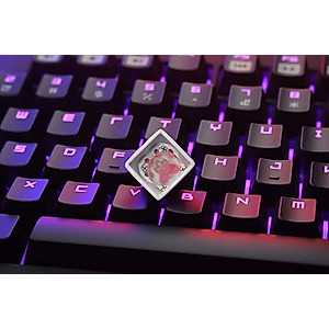 Blue Hat All Gaming Keycaps DIY Metal Keycap Stereo Embossed Personality Keycap for Cherry Switches Mechanical Keyboards (Cat paw)