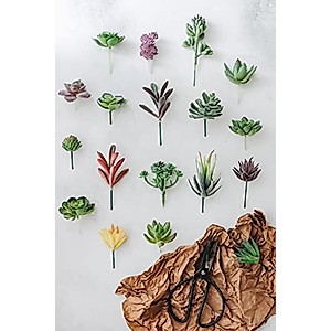 miltonson Artificial Succulent Plants - 18 Pack - Premium Fake Plants - Double Flocked Succulents - Realistic Textured Cactus - Face Succulent Plants - Mini Faux Succulents - Face Plant Decor