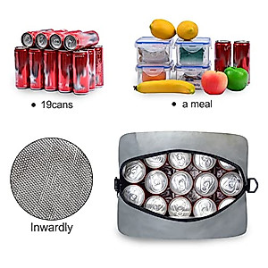 ALAZA Pink Flamingo Animal Insulated Lunch Box Reusable Cooler Bags with Shoulder Strap for Women Men Adults, 19-Can (12.5L)