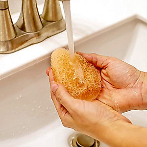 IMPRESA 10 Pack Facial Sponge for Daily Cleansing and Gentle Exfoliating - Buff Style Exfoliating Pads for Removing Dead Skin, Dirt and Makeup - Reusable Puf, Made in The USA