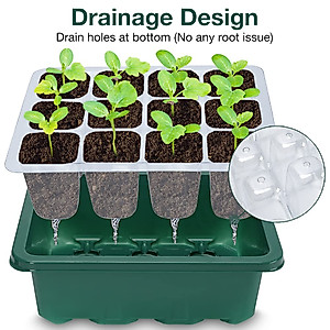 HOXHA 12 Pack Seed Starter Tray Kit, 144 Cell Indoor Seedling Starting Trays with Humidity Dome Base Mini Greenhouse Plant Germination Set for Seeds Growing, 12 Pack 12 Cell