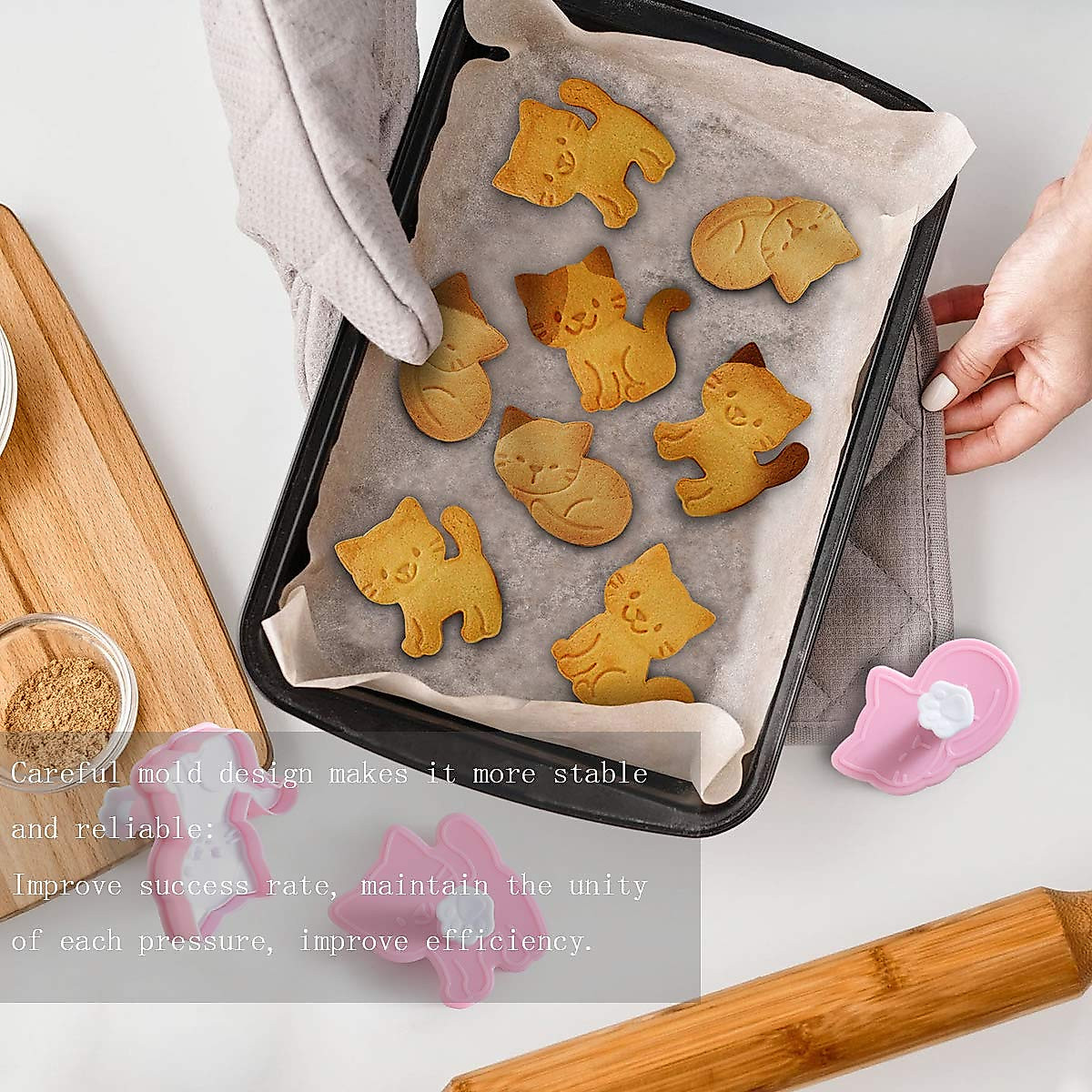 GOODFEER Cookie Cutters Cat Shape,3pcs Animal Cookie Stamps for Baking, bladeless safety Baking Molds For Biscuit