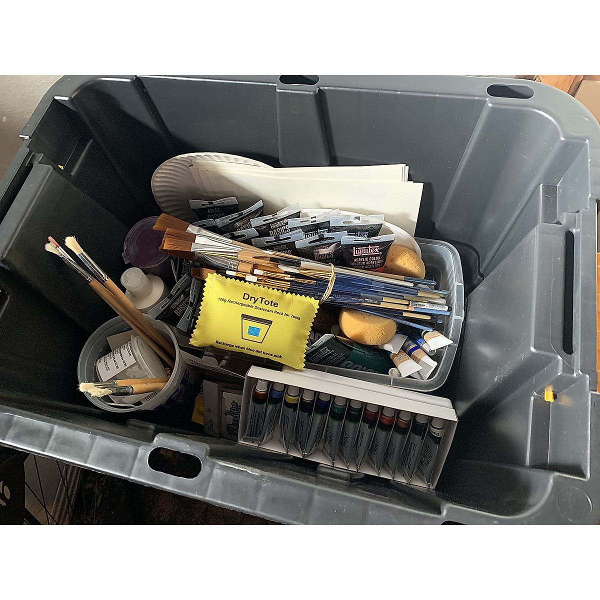 100g Rechargeable Desiccant Pack - Moisture Absorbing Bag - Desiccant Dehumidifier for Storage Bins and Totes …