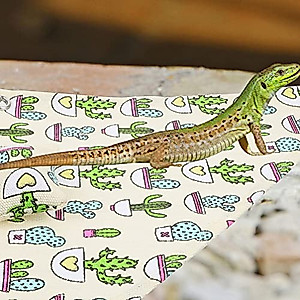 balacoo 2 Sets of Lizard Hammock Bearded Dragon Reptile Bed with Pillow Reptile Lounger Hammock Triangular Haning Net Hammock Swing Hanging Bed for Bearded Dragon Leopard Gecko Rat