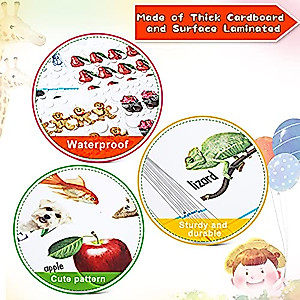 Cholemy Alphabet and Numbers Bulletin Board Strips Set Alphabet Number Wall Classroom Decoration Animal ABC Number 1-20 Line Wall Poster with Adhesive Dots for Playroom Bedroom Nursery Room Decoration