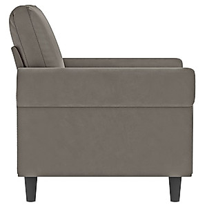 ULUYYUC Sofa Chair,Funky Sofa Modern Sofa Office Sofa Porch Sofa Living Room Furniture with Armrests Suitable for Living Room Apartment Home Office Light Gray 23.6" Velvet