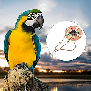 POPETPOP Bird Feeding Dish Cups with Wood Platform Hanging Parrot Cage Feeder Water Bowl Stainless Steel Birdcage Bowls Feeding Perch Play Stand Swing for Indoor Outdoor Pet Bird