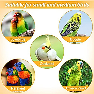 Bird Rope Perch, Natural Wooden Bird Rope Climbing Net Toys, Durable Hanging Bird Parrot Toy for Parakeet Cockatoos Cockatiel Lovebirds and Amazon Parrot