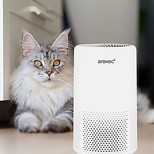 Air Purifiers for Home and Bedroom by AROVEC - True HEPA Air Filter to Eliminate Allergens, Asthma, Smoke, Odours, Pet Smell, Pollen, Mould, Dust, Sleep Mode, Timer, Aropure-200 (White)