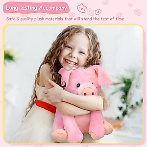 Zomiboo 4 Pcs Pig Plush Stuffed Animals Set Mommy Pig Stuffed Animal with 3 Baby Plush Piggy in Her Tummy Mommy Pig and Baby Small Plush Pig Valentine's Day Birthday Gift for Toddlers Boys Girls