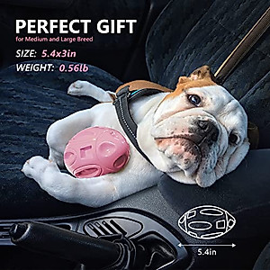 EASTBLUE Squeaky Dog Toys for Aggressive Chewers: Rubber Puppy Chew Ball with Squeaker, Almost Indestructible and Durable Pet Toy for Medium and Large Breed