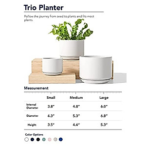 LE TAUCI Ceramic Plant Pots, 4.3+5.3+6.8 inch, Set of 3, Planters with Drainage Hole and Saucer, Indoor Flower Pot with Hole Mesh Pad, Gifts for Mom, White