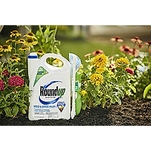Roundup Ready-To-Use Weed & Grass Killer III -- with Sure Shot Wand, Use in & Around Vegetable Gardens, Tree Rings, Flower Beds, Patios & More, Kills to the Root, 1.33 gal.