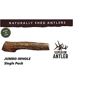 1-GIANT-JUMBO Whole Elk Antler for Dogs –XXXL All Natural premium Grade A. Antler Chew. Naturally Shed, Hand-picked, and made in the USA. NO ODOR, NO MESS. GUARANTEED SATISFACTION. For dogs 60-90+ Lbs