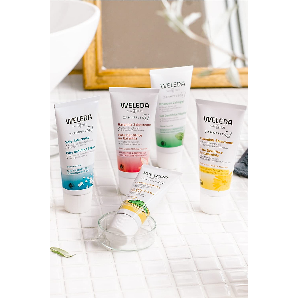 Weleda Weleda ratahnia toothpaste, 2.5-ounce (pack of 2)