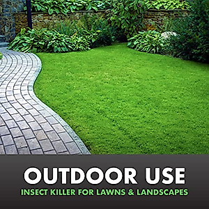 Spectracide Concentrate Triazicide Lawn & Landscapes Insect Killer, 40 oz, Black