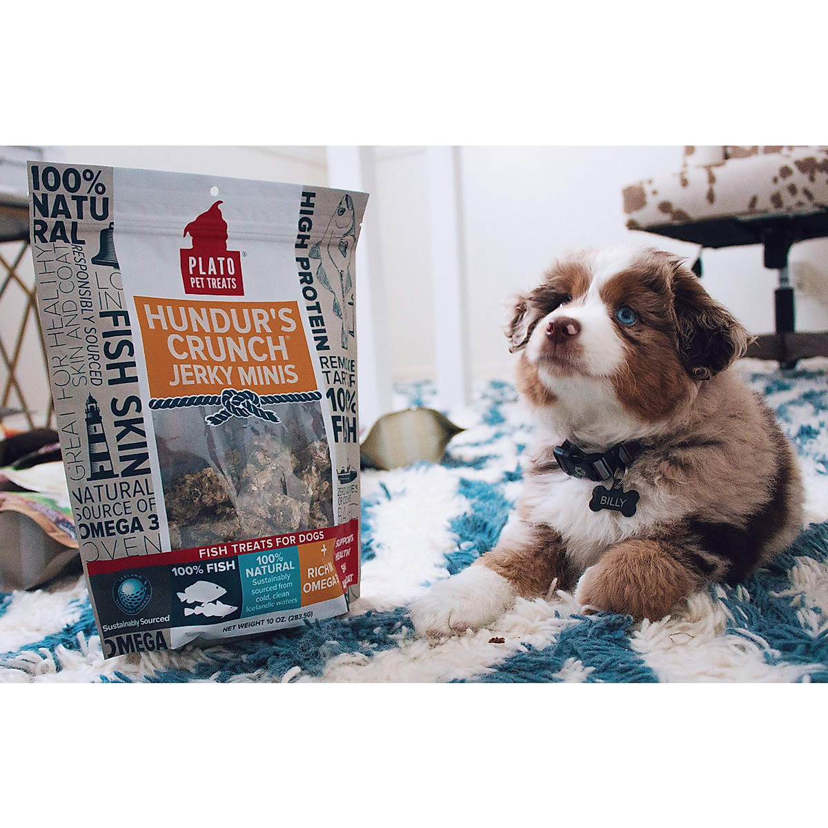 Hundur's Crunch Single Ingredient Cod Skin Dog Treats – Minis