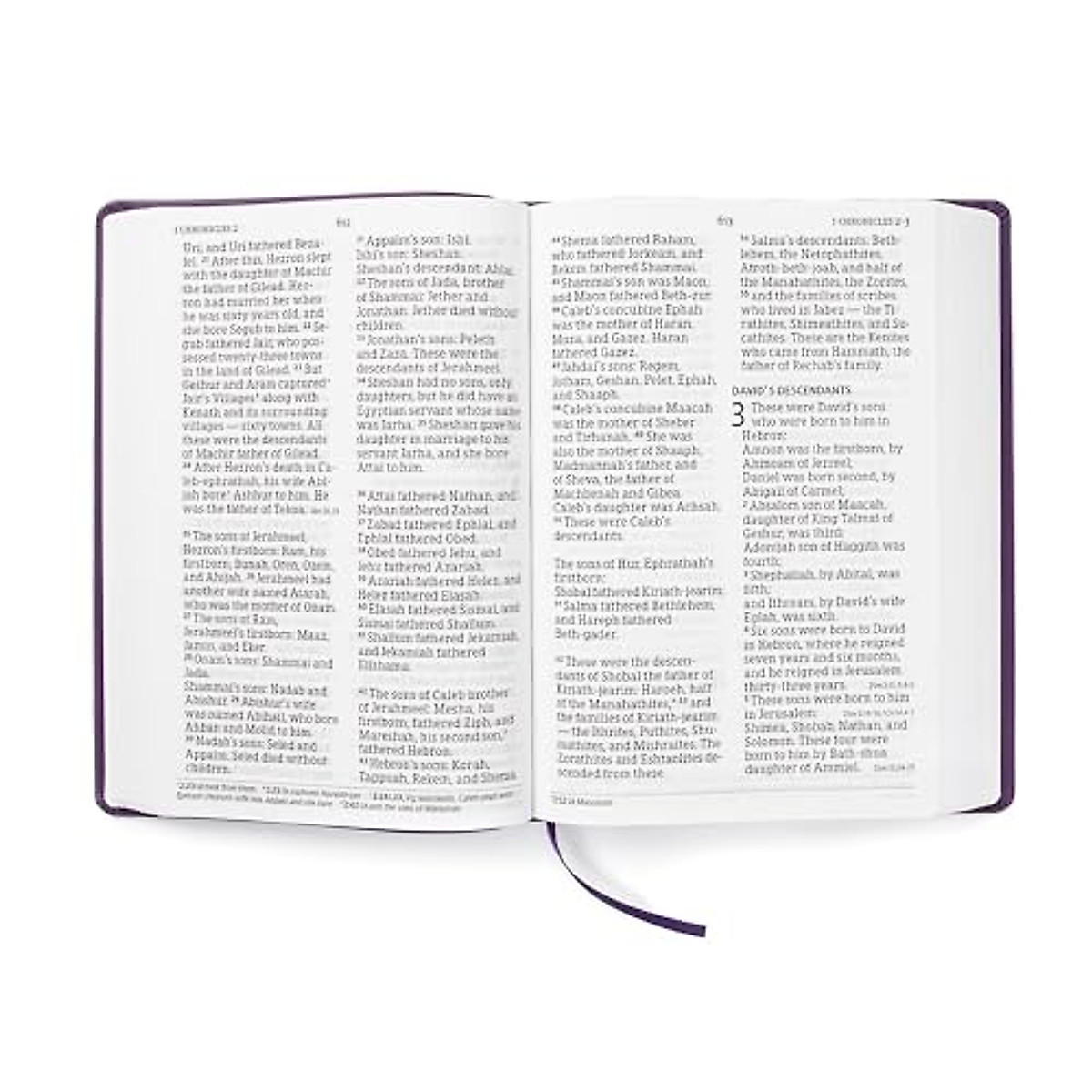 CSB Super Giant Print Reference Bible, Value Edition, Purple LeatherTouch, Red Letter, Presentation Page, Cross-References, Full-Color Maps, Easy-to-Read Bible Serif Type