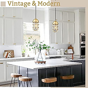 Emliviar Modern Gold Pendant Light with Metal Cage, Mini Ceiling Hanging Light with Clear Tempered Glass for Kitchen Dining Room, Gold Finish, GE255P BG