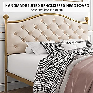 HIFIT Queen Size Platform Bed Frame with Elegant Button Tufted Curved Headboard, Velvet Upholstered Bed Frame with No Noise, Heavy Duty Metal Frame Foundation, No Box Spring Needed, Gold-Beige