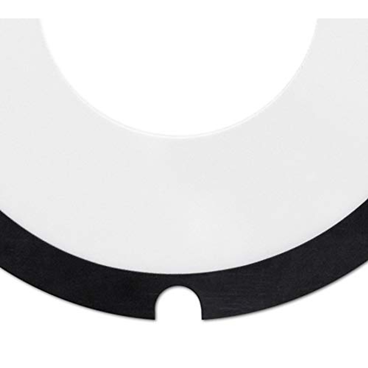 Big Fat Snare Drum Snare Drum Head (BFSD12DON)