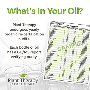 Plant Therapy Oregano Organic Essential Oil 100% Pure, USDA Certified Organic, Undiluted, Natural Aromatherapy, Therapeutic Grade 10 mL (1/3 oz)