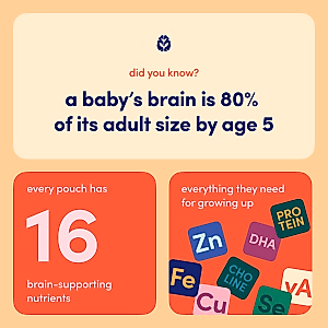 Cerebelly Organic Baby Food Pouches – 6+ Months Organic Beef Bone Broth Pouches | Protein, Healthy Fats, Non-GMO | Toddler Pouches | 4 Ounce BPA-Free Pouches | Carrot Beef Bone Broth | 6 Count