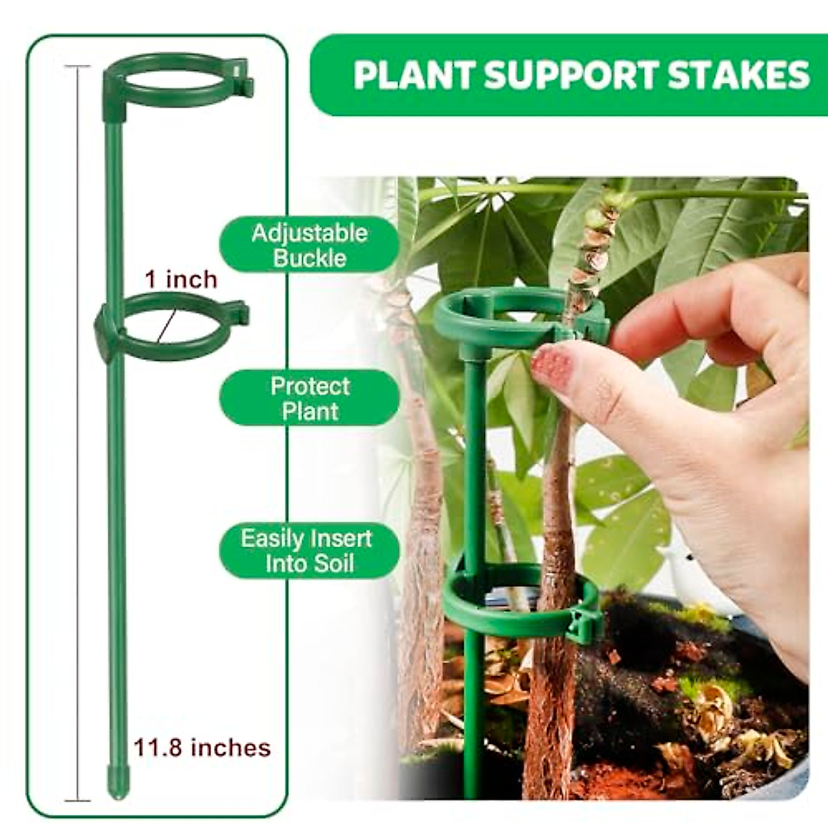 30 Pack Plant Stakes 12 Inch, Adjustable Length Plant Support Stakes for 3 Sizes (12, 24 or 36 Inches), Green Plant Sticks Fiberglass Single Stemmed Flower Support for Potted Indoor Plants