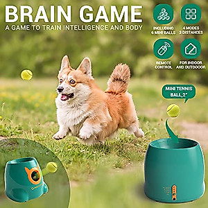 Greenvine Automatic Dog Ball Launcher Interactive Ball Thrower Fetch it Machine 6 Balls Included Premium