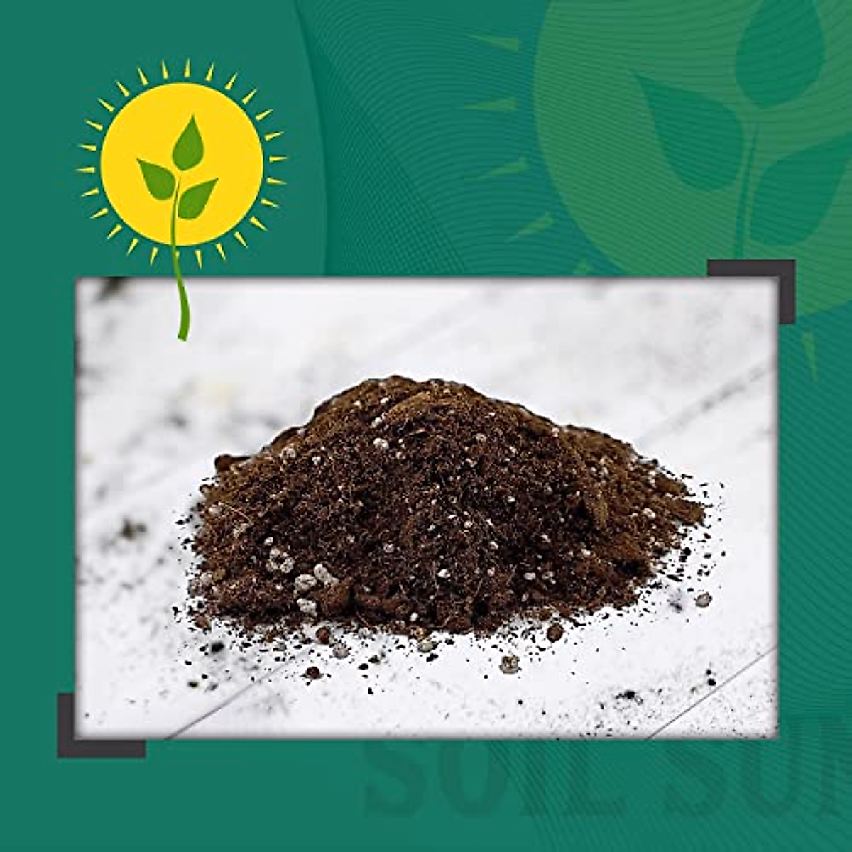 Lucky Bamboo Plant Potting Mix (2 Quarts), Custom Soil Mix for Repotting