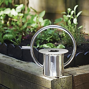 Umbra Quench Stainless Steel Watering Can, Pot for Outdoor or Indoor Plants, Medium