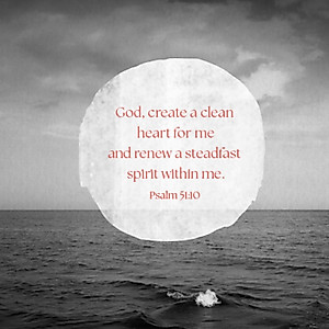 Seamless: Understanding the Bible as One Complete Story (Member Book)