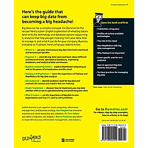 Big Data For Dummies