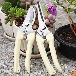 BUGUI Garden Pruning Shears Set - 2 Pack, 1 Bypass Pruner+1 Straight Blade Scissors, Sharp Garden Shears for Cutting Flowers, Trimming Plants, Bonsai, Fruits Picking