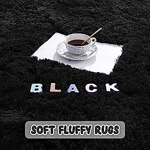 Rostyle Super Soft Fluffy Area Rugs for Bedroom Living Room, 4 ft x 6 ft Shaggy Floor Carpets Shag Christmas Rug for Girls Boys Furry Home Decorative Rugs, Black