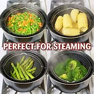 Worlds Grestest Pot - 6 Quart