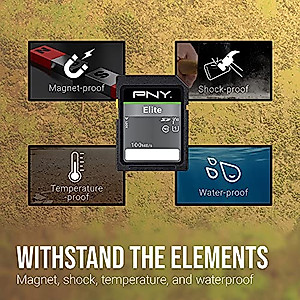 PNY 32GB Elite Class 10 U1 V10 SDHC Flash Memory Card - 100MB/s, Class 10, U1, V10, Full HD, UHS-I, Full Size SD