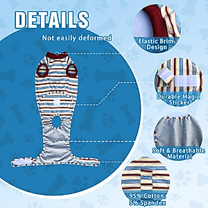 Puptoceed Dog Surgery Rrecovery Suit Dog Onesies for Surgery Recovery Dog Body Suits After Surgery Dog Recovery Suit Surgery Suit for Dogs Dog Surgery Suit Dog Neuter Recovery Suit,M